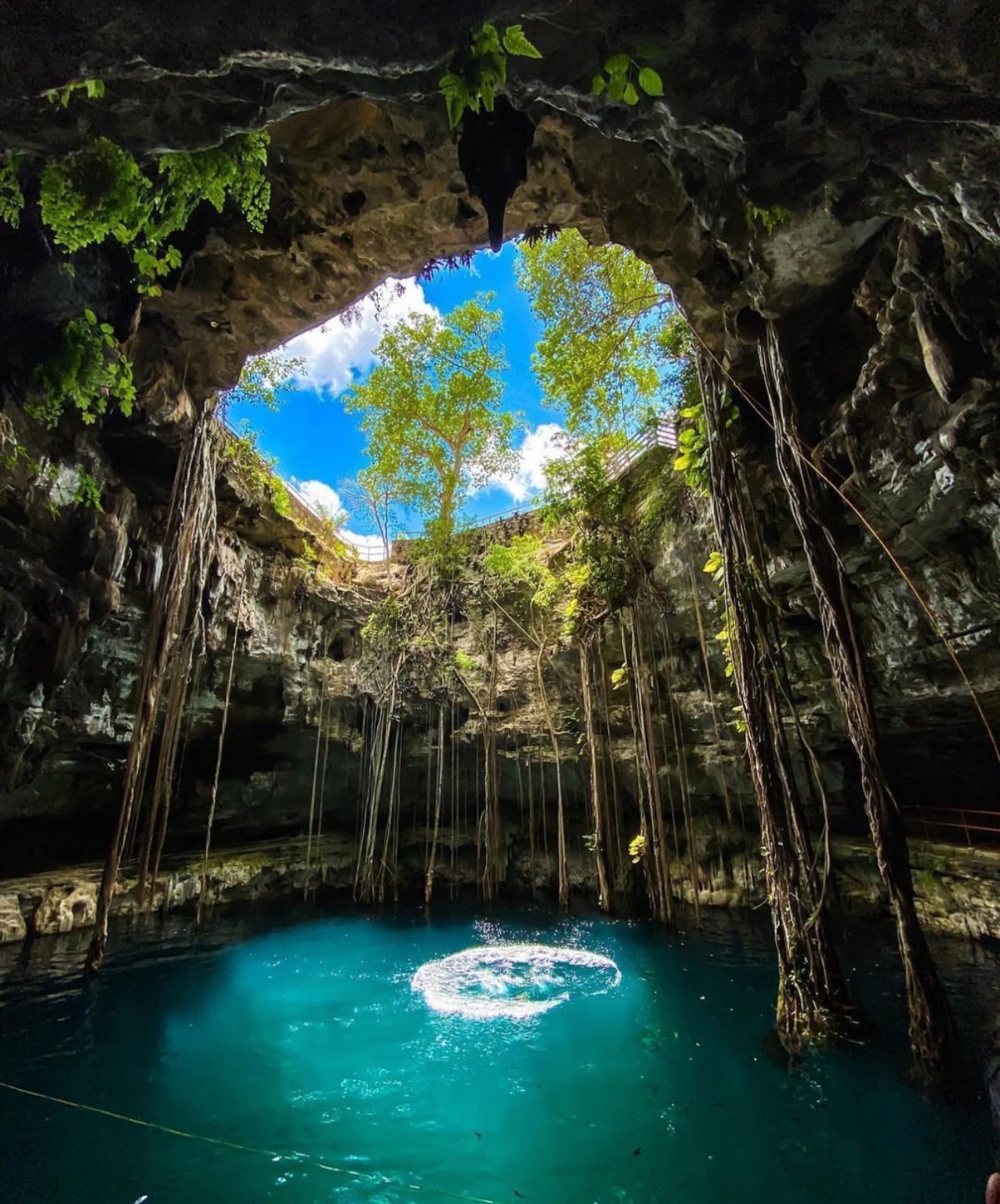 Seeking Luxury Rehabs Near Me 2026